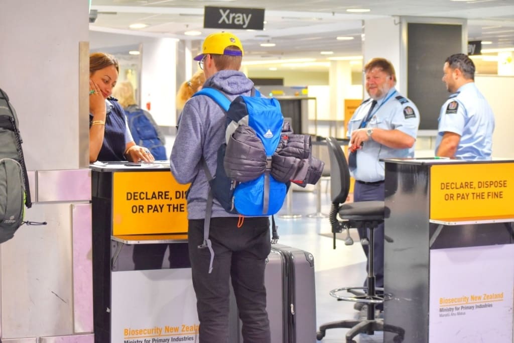 Ultimate Guide to Customs and Biosecurity Regulations for Travelers in ...